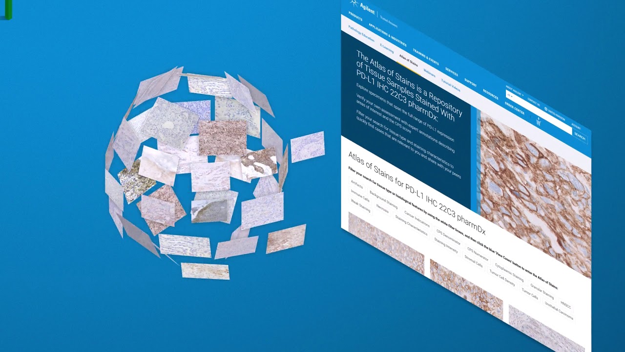 Atlas of Stains for PD-L1 IHC 22C3 pharmDx | A world of PD-L1 Resources Await (Video 5/5)