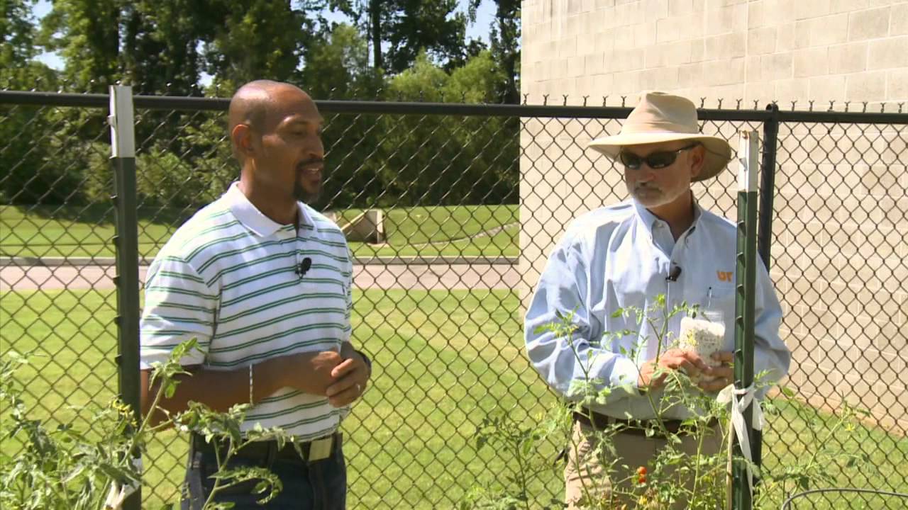 The Family Plot -- August 20, 2015