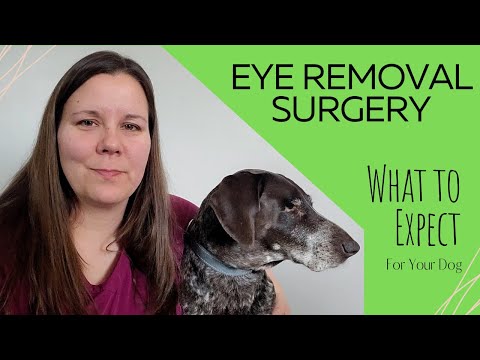 HEALING AFTER EYE SURGERY- What to EXPECT
