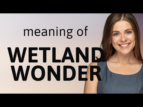 Wetland Wonders: Exploring a Unique Ecosystem