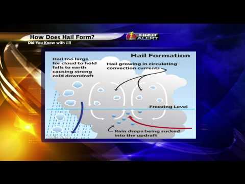 Did You Know With Jill: How Does Hail Form