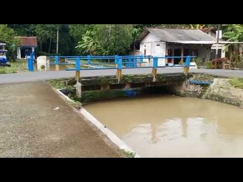 suasana pedesan desa panican yang damai