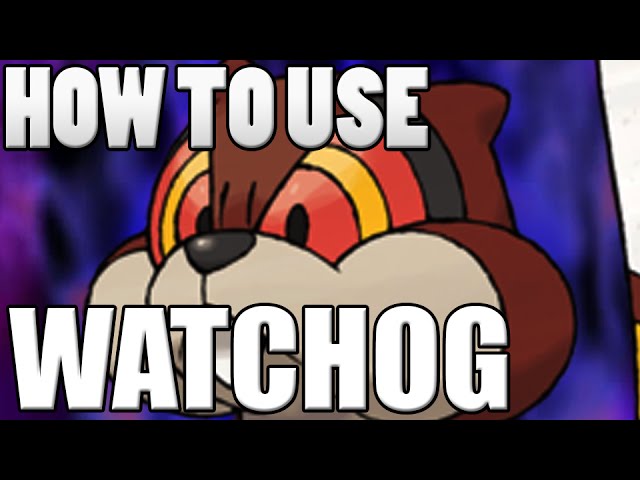 Patrat Pokémon: How to catch, Stats, Moves, Strength, Weakness, Trivia ...