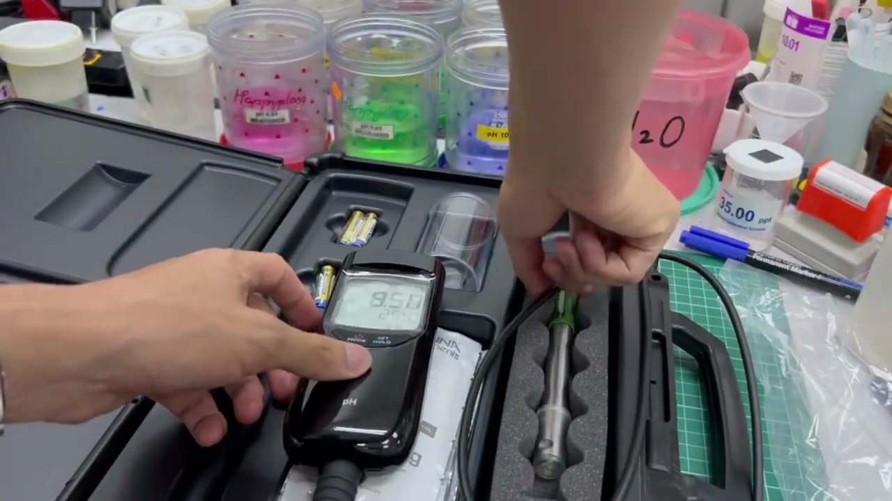 HI991001 pH Meter