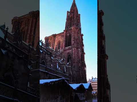 Strasbourg Christmas Market (Capitale de Noel)