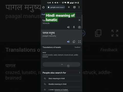 Hindi meaning of lunatic, lunatic meaning in hindi, lunatic ka matalab hindi me