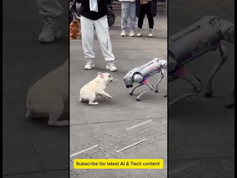 ai robot dog. who you think would win? 🏆 #ai