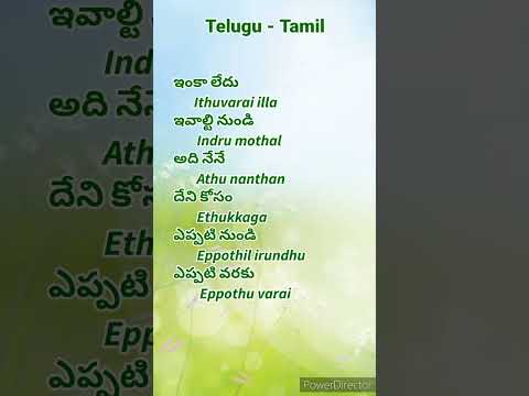 Learn Tamil small sentences।।Tamil sentences through Telugu।।Learn Tamil through Telugu