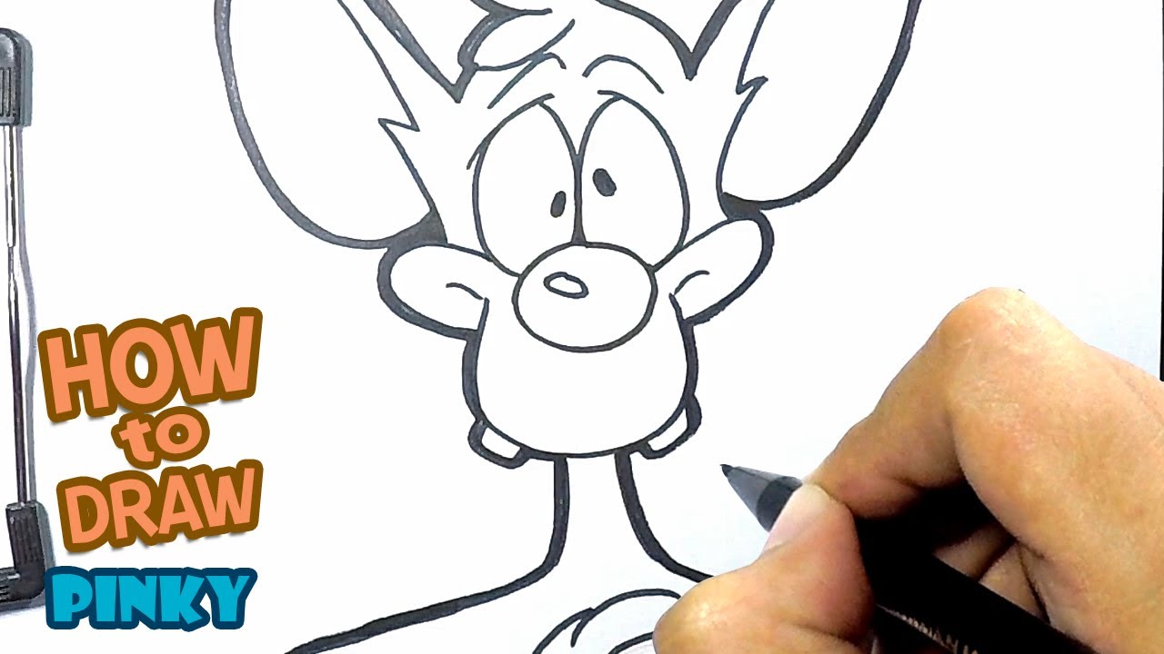 How to Draw Pinky from Pinky and the Brain | Cartoon Drawing