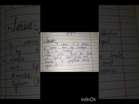 Definition of nerve #biology #science #LWM