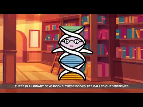 What is DNA (Deoxyribonucleic acid) and its Function? | DNA in Biology