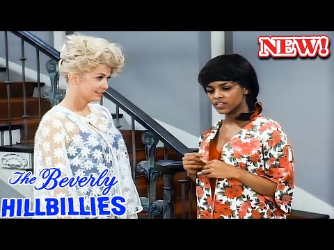 The Beverly Hillbillies 2025 🎯️🎯 SS15 - EP 46 🎯️🎯 Hot Sitcom TV Series 2025 Full Episodes