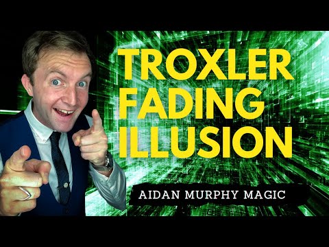 Troxler Fading Illusion #Shorts