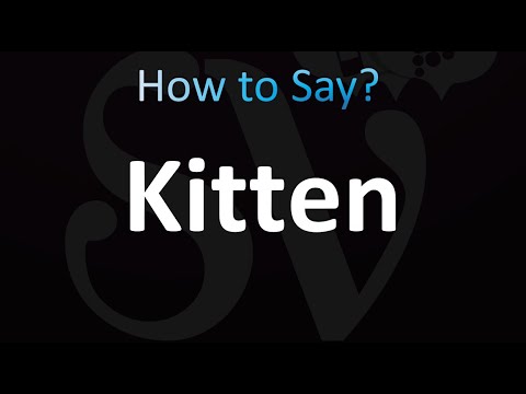 How to Pronounce Kitten (correctly!)