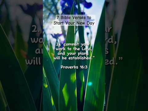Seven Bible Verses to Read Before Starting A New Day.