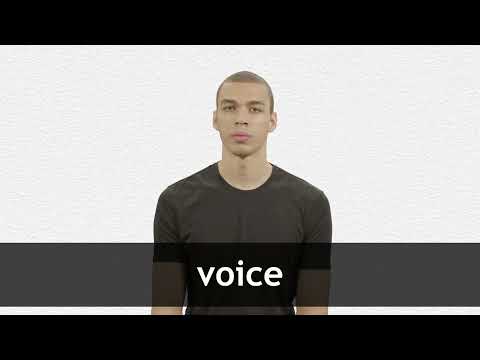 VOICE definition and meaning | Collins English Dictionary