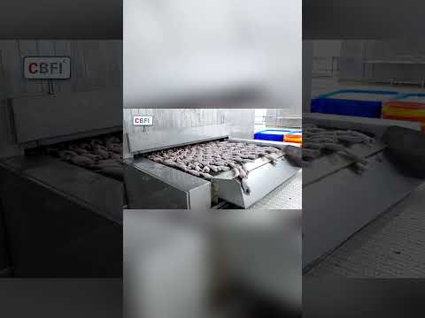 #shorts Stainless Steel Tunnel Freezer for Seafood Processing Industry IQF Flash Freezer Equipment.