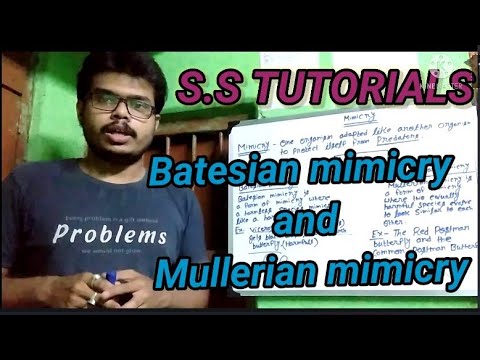 Batesian and Mullerian mimicry for Class 12 biology