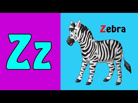 Z For Words || Z Letter Words || Z for Zebra, Z for Zoo, Z for Zero || Words That Start with Z ||
