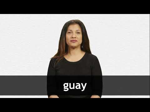 English Translation of “GUAY” | Collins Spanish-English Dictionary