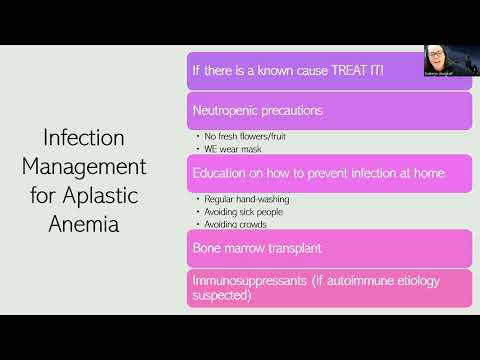 Adult Med/Surg: Aplastic Anemia NEW Lecture