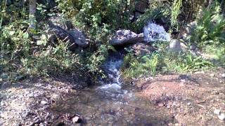 La-riqueza-de-amacueca-jalisco