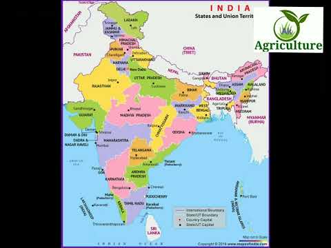 Top 5 fertilizer companies in India , Ak-Agriculture