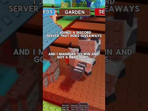 How to get racoon for free in grow a garden #growagarden #roblox