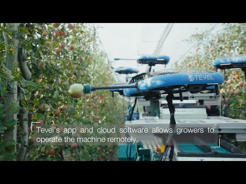 Tevel Aerobotics Technologies - Fleet of Airborne Harvesting Robots for ...