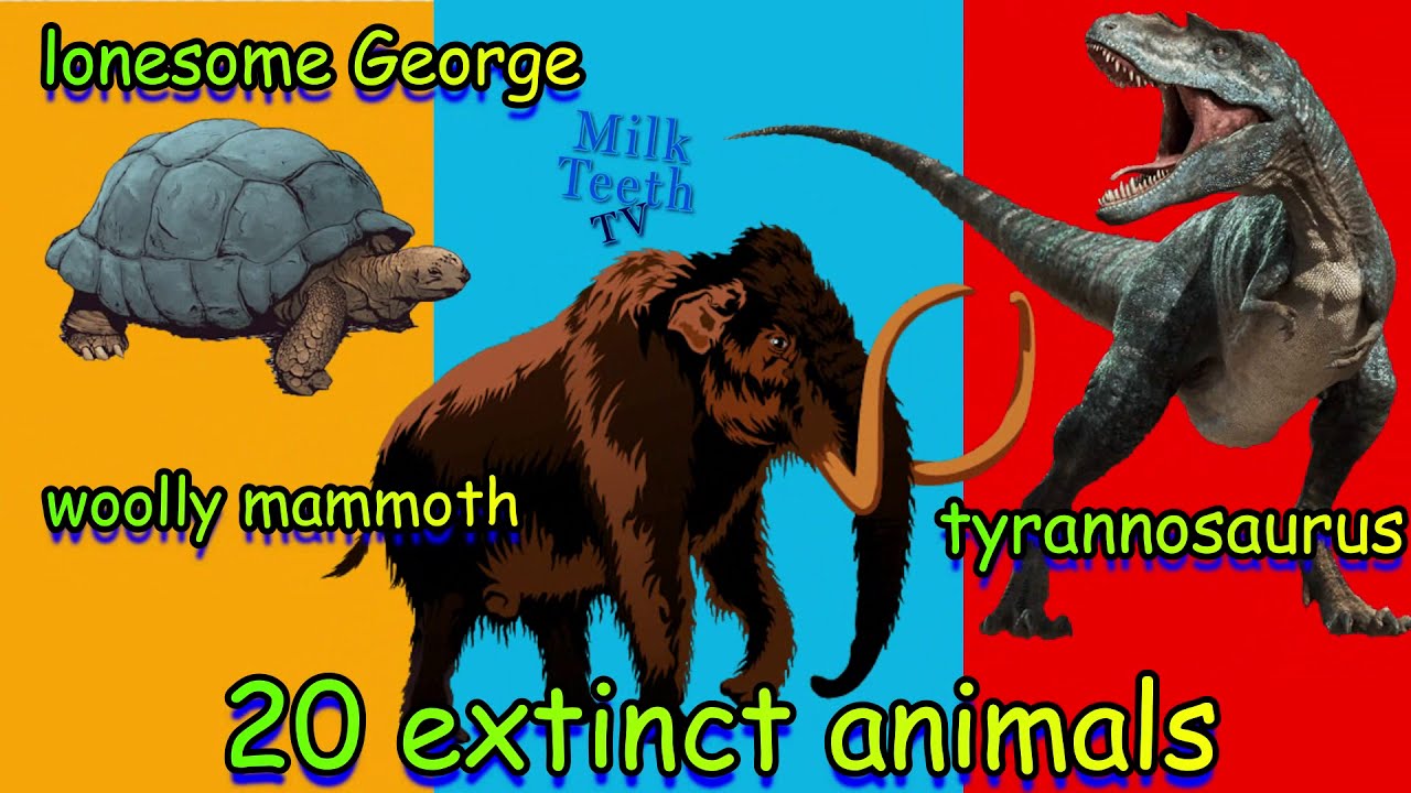 20 Extinct Animals Names with Pictures
