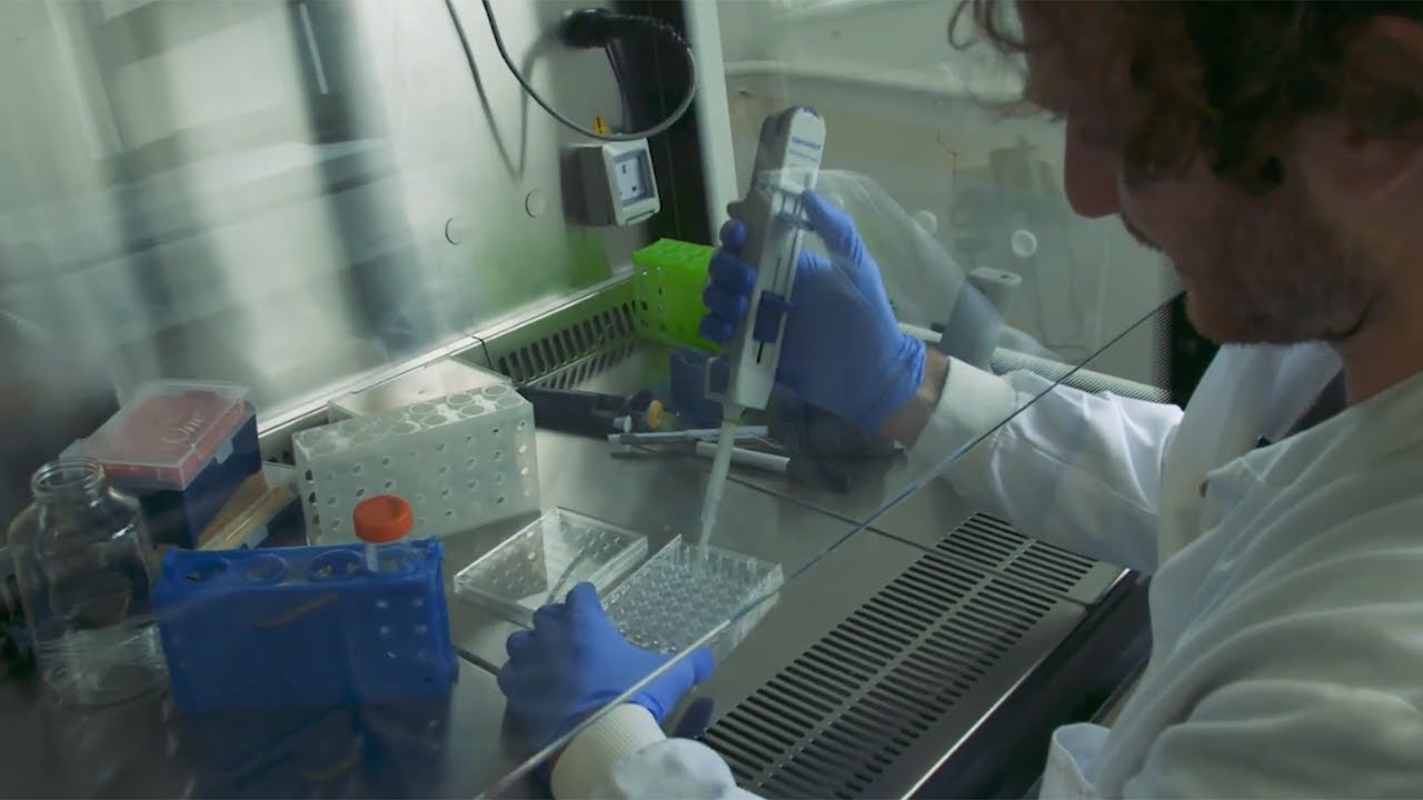 Preventing MS in High-Risk Groups | National MS Society