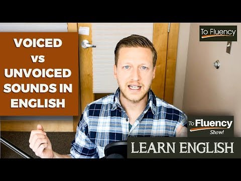Voiced vs Unvoiced Sounds in English, Literal and Figurative Expressions & How to Learn New Skills!