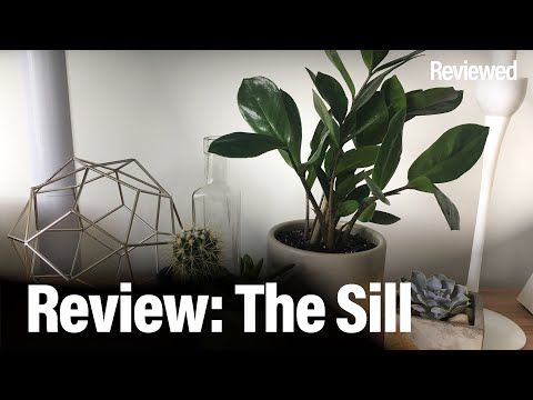 We tried this popular plant delivery service—here's what happened