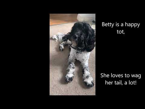 A rhyming couplet poem about Betty.