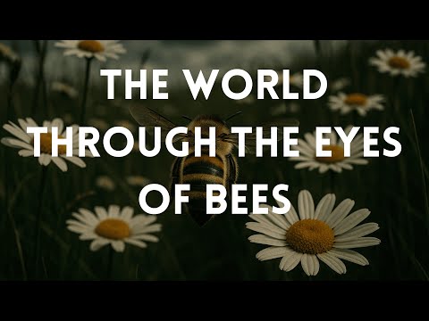 THE WORLD THROUGH THE EYES OF BEES đ | A Breathtaking Short Film Shot in Xızı