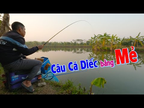 Pha Mồi Câu Bằng Cả Thế Giới Tập 3 | MẺ + Mồi Chuyên Diếc Mùa Đông ...