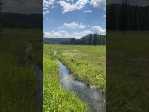 20 Acres Kalispell Montana for sale