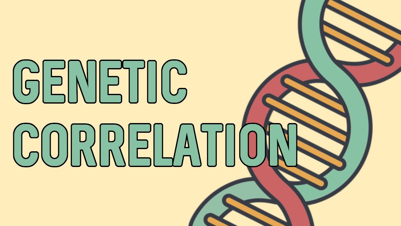 Genetic Correlation Using Python