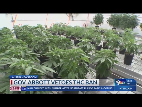 Gov. Abbott vetoes THC ban