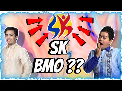 Ano Ba Ang Sangguniang Kabataan BUDGET MONITORING OFFICER !??