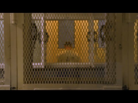 Inside/Outside