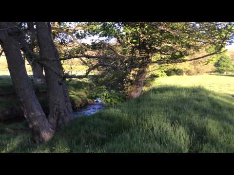 Mini break at Dibble Bridge | Philip Kirby Racing