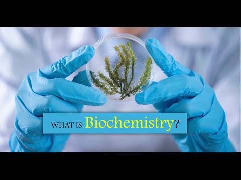 What is Biochemistry All About? (English)