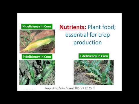 Nutrient Cycles Part 1: Nitrogen and Phosphorus Fundamentals of Nutrient Management 2022