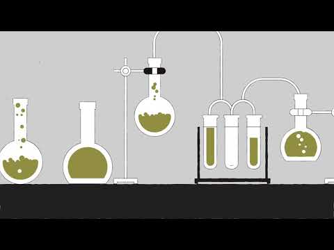 The $1,845 Urine Test