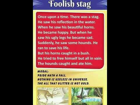 Foolish Stag || Short story in English