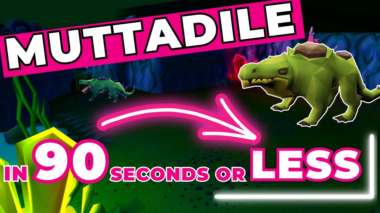 MUTTADILE - In 90 Seconds or Less
