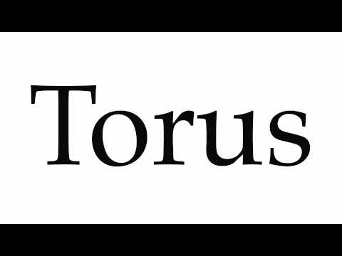 How to Pronounce Torus