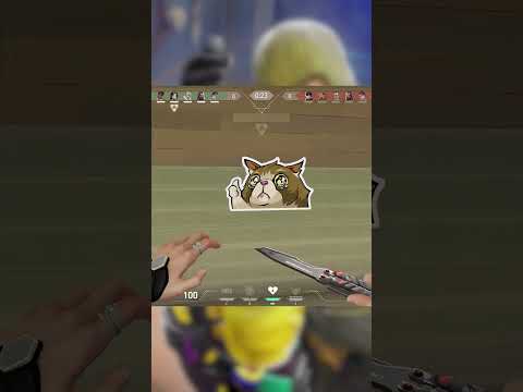 Valorant sad cat meme #valorant #valorantclips #valorantgaming #memes #valorantfunny #montage #sad