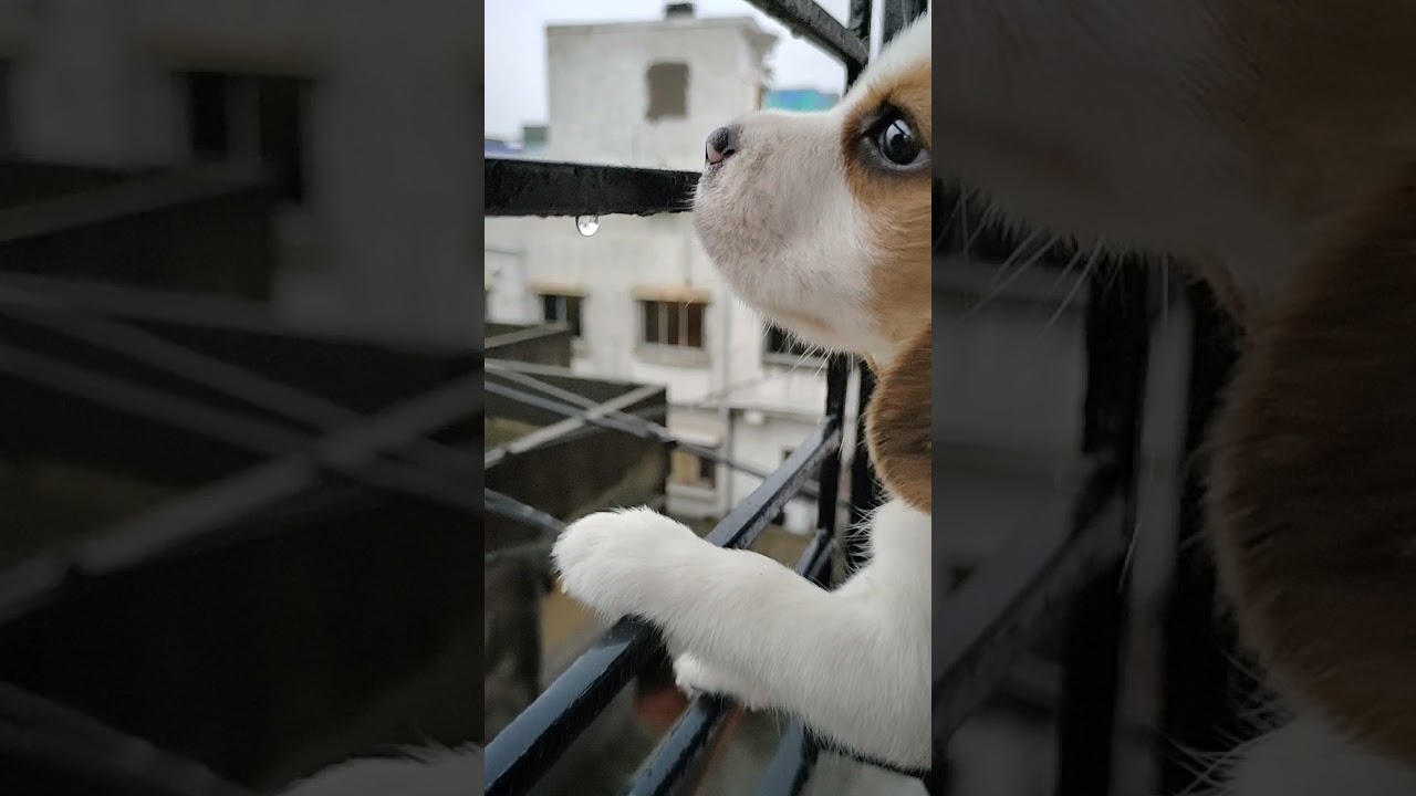 #enjoyingrain💦💦